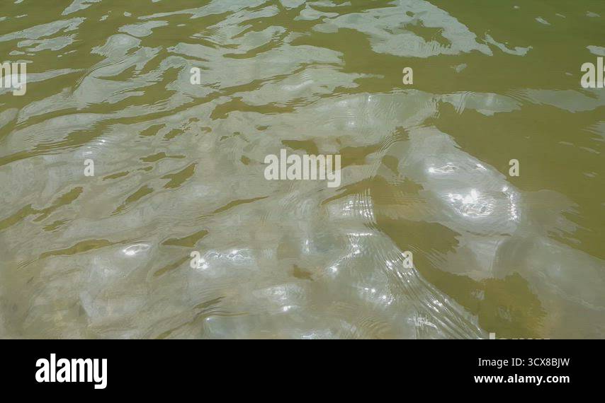 Transparent water surface with copy space for background and texture ...