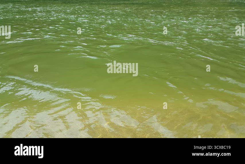 Transparent water surface with copy space for background and texture ...