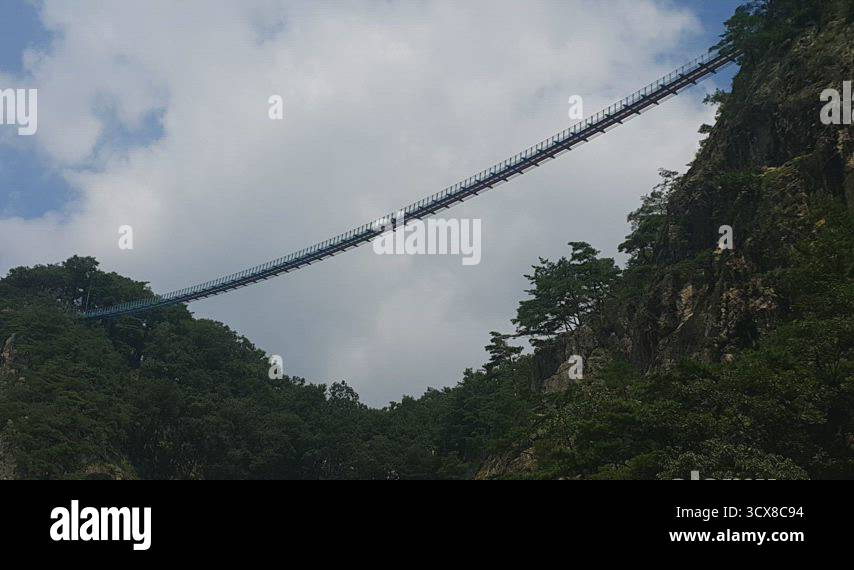 Sky walk stair bridge in between forest mountains over green water sea ...