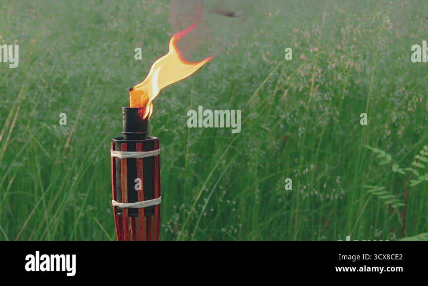 Oil Fuel Bamboo Torch Burning in the Forest Stock Video Footage - Alamy