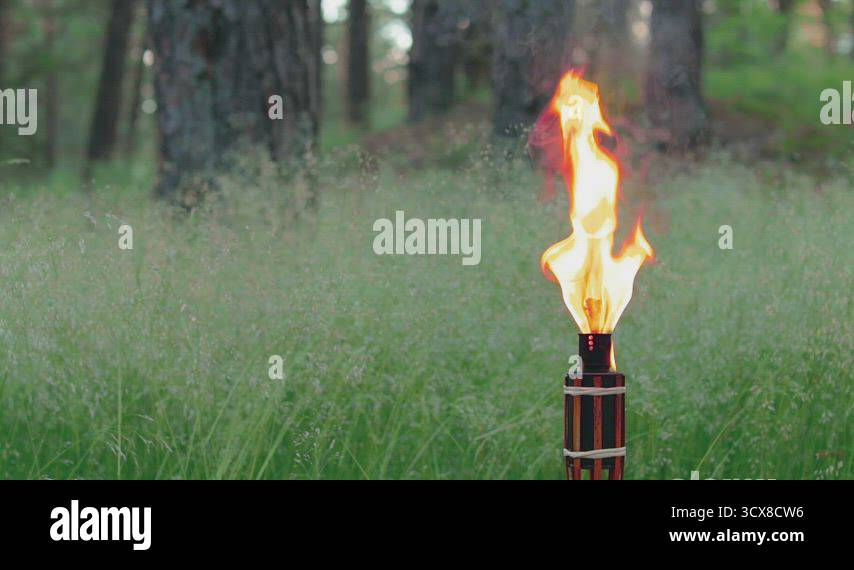 Oil Fuel Bamboo Torch Burning in the Forest Stock Video Footage - Alamy
