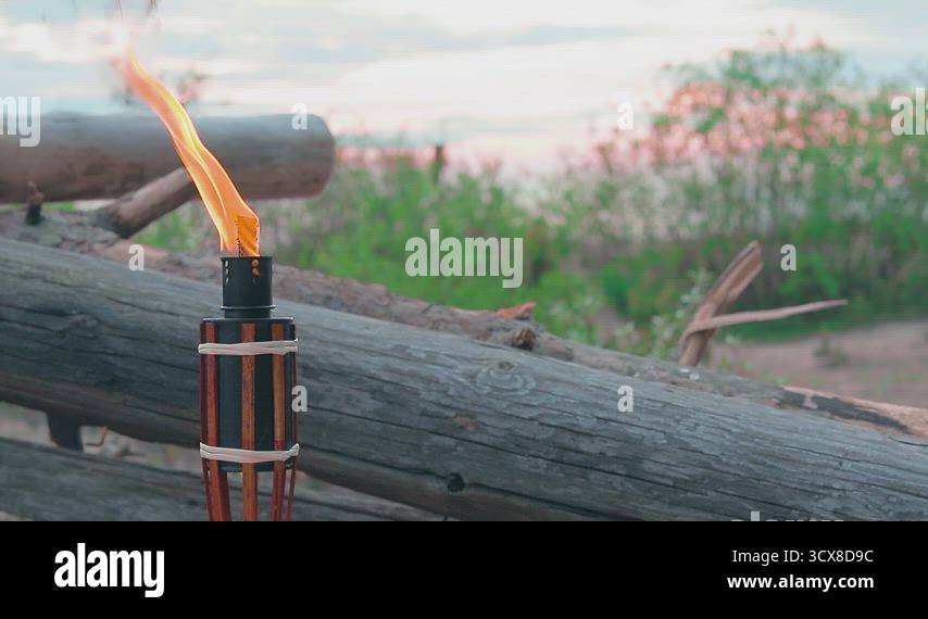 Bamboo Torch Burning at the Beach Stock Video Footage - Alamy