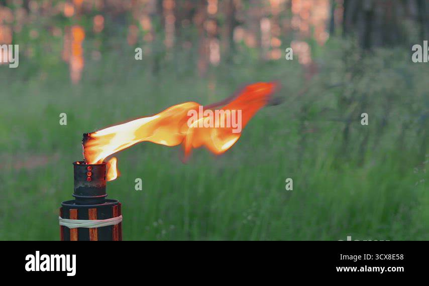 Liquid Fuel Bamboo Torch Burning in the Forest Stock Video Footage - Alamy