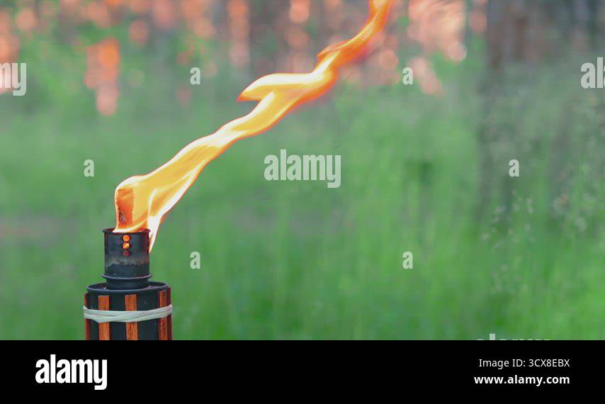 Liquid Fuel Bamboo Torch Burning in the Forest Stock Video Footage - Alamy