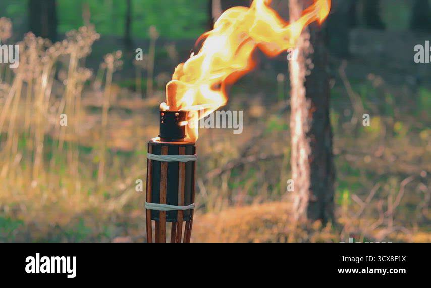 Liquid Fuel Bamboo Torch Burning in the Forest Stock Video Footage - Alamy