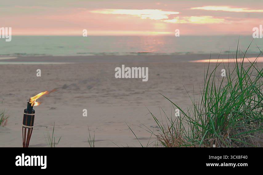Bamboo Torch Burning at the Beach Stock Video Footage - Alamy