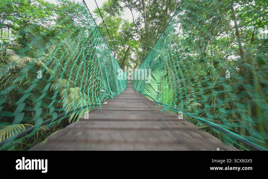 Bridge canopy Stock Videos & Footage - HD and 4K Video Clips - Alamy