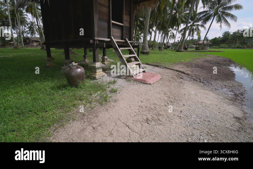 Tilt up kampung house with coconut trees Stock Video Footage - Alamy