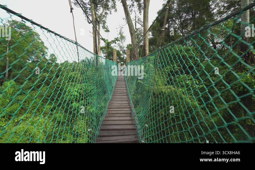 Canopy walk malaysia Stock Videos & Footage - HD and 4K Video Clips - Alamy
