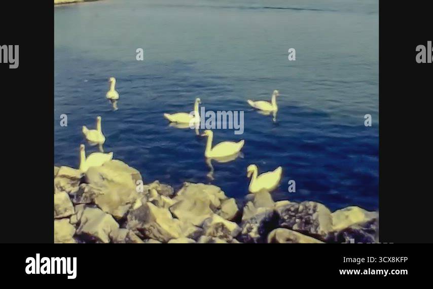 Switzerland 1975, Geneva Danube view 2 Stock Video Footage - Alamy