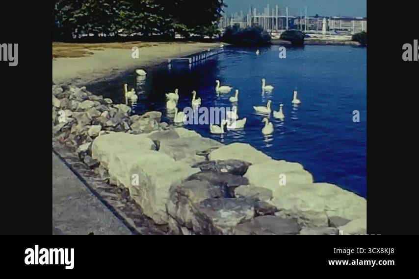 Switzerland 1975, Geneva Danube view Stock Video Footage - Alamy