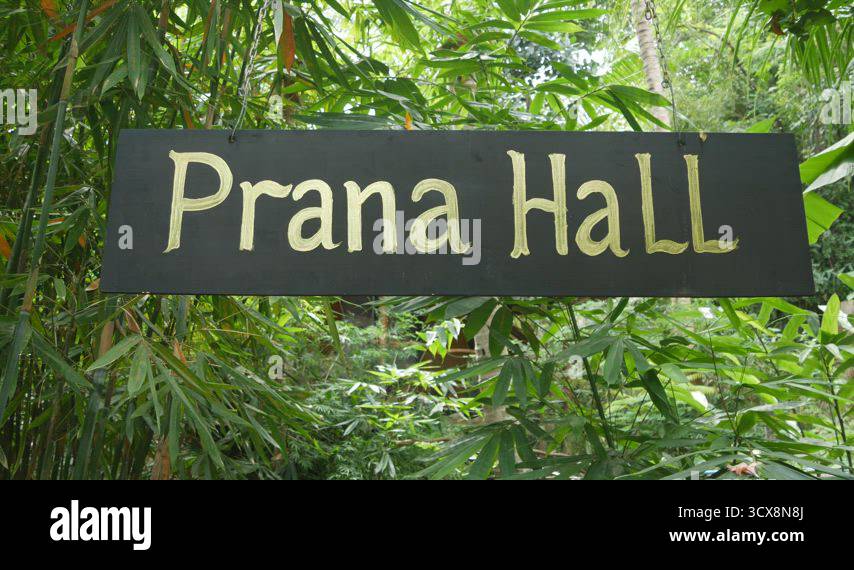 Sign with writing near tropical plants. Sign of facility for yoga and ...
