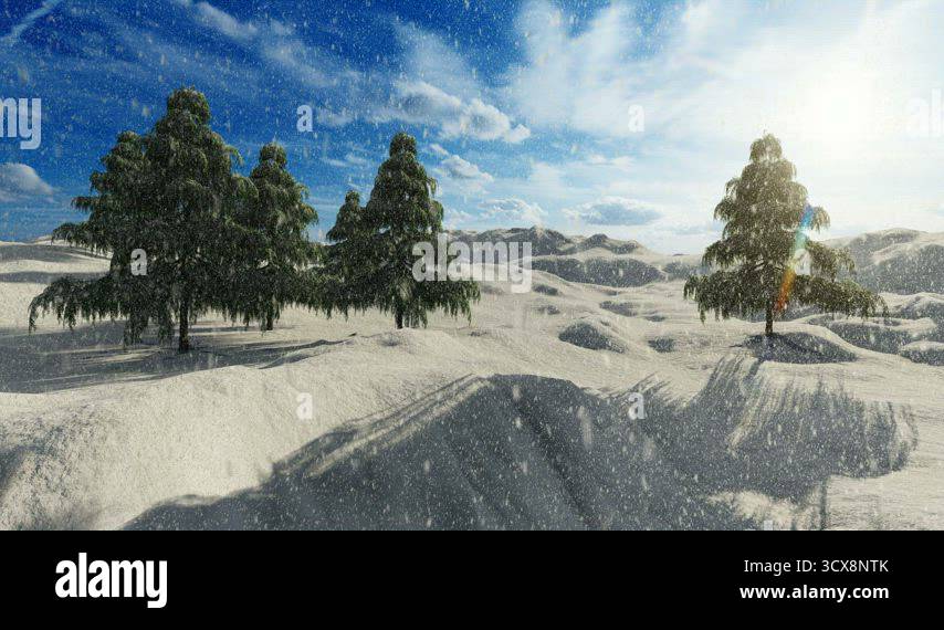 Snow falling over pine tree Stock Videos & Footage - HD and 4K Video ...