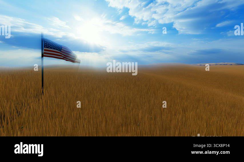 American flag on a wheat field Stock Video Footage - Alamy