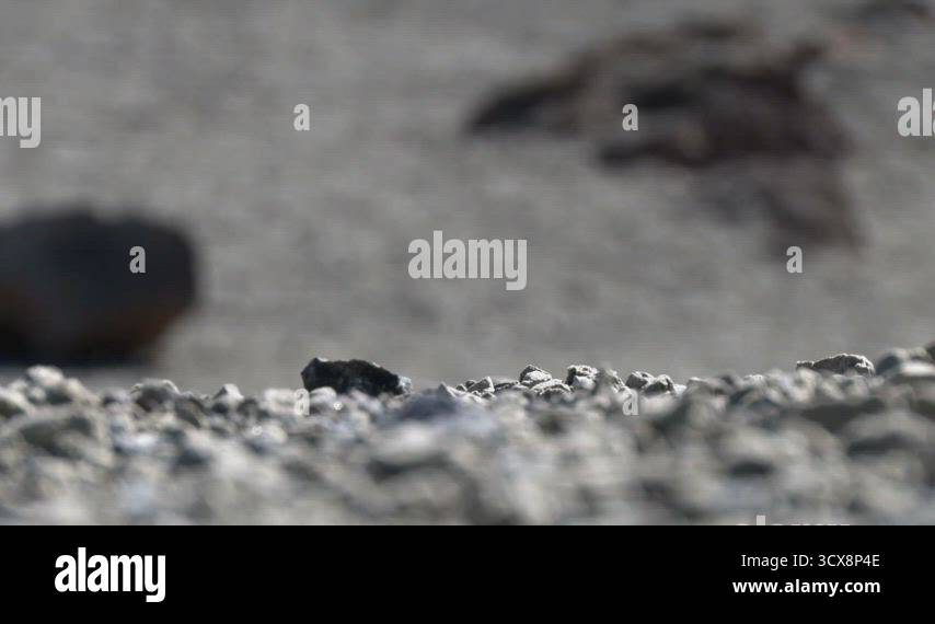 Gray rubble gravel photo Stock Videos & Footage - HD and 4K Video Clips ...