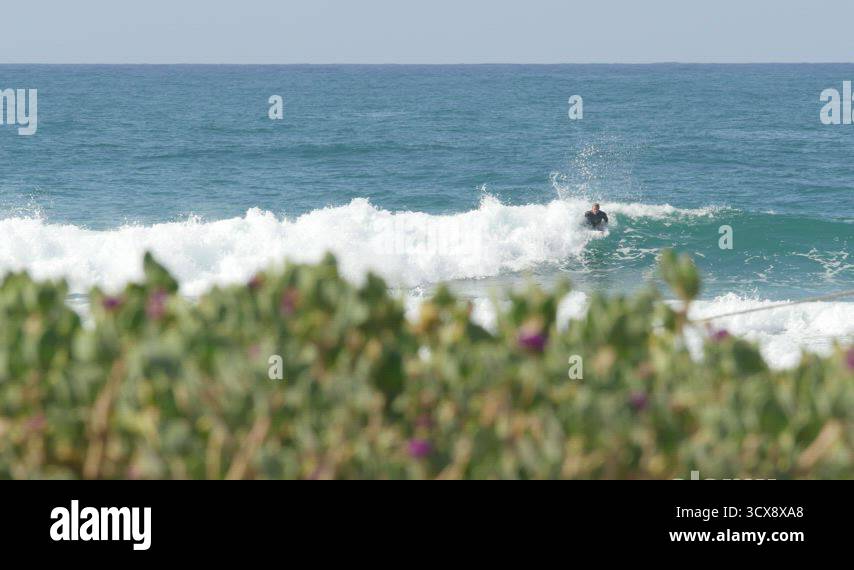 Surfers in ocean, pacific coast sea water waves. People surfing with ...