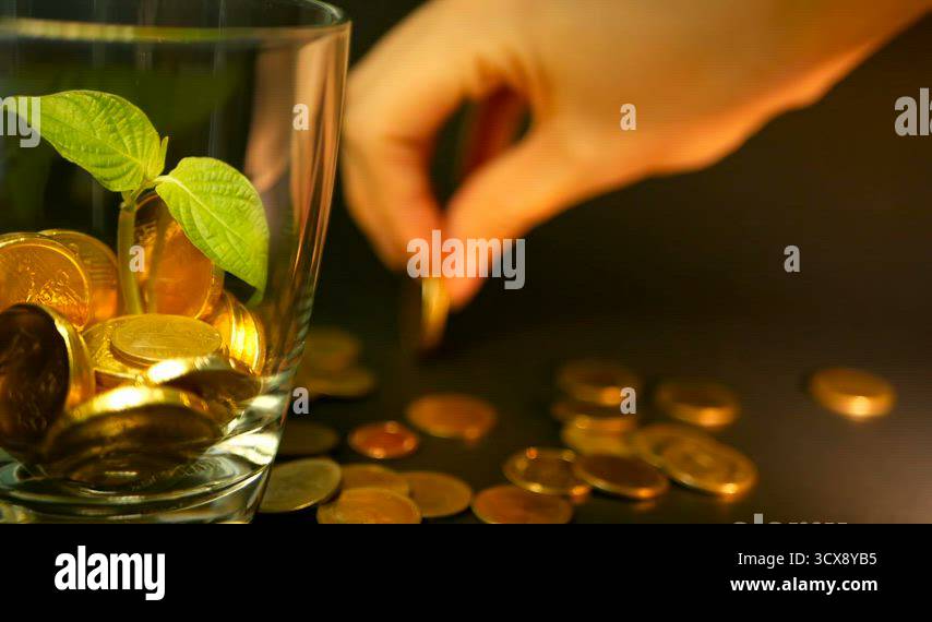 Golden coins in glass jar and green leaf of sprout on black background ...