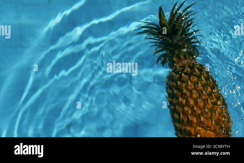 Pineapple Floating In blue Water In Swimming Pool. Healthy Raw Organic ...