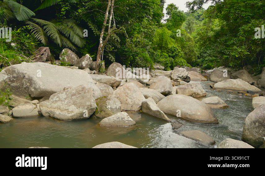Mountain river flowing in rainforest. Endless meditative video, stream ...