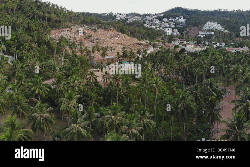 Tropical terrain covered with endangered forests and luxury villas ...