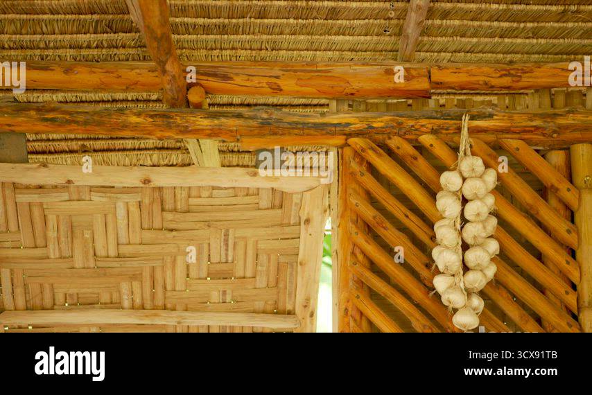 Bunch of garlic on wall. Bunch of dried garlic hanging on bamboo wall ...