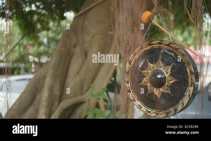 Small traditional gong hanging on background of old banyan tree in ...