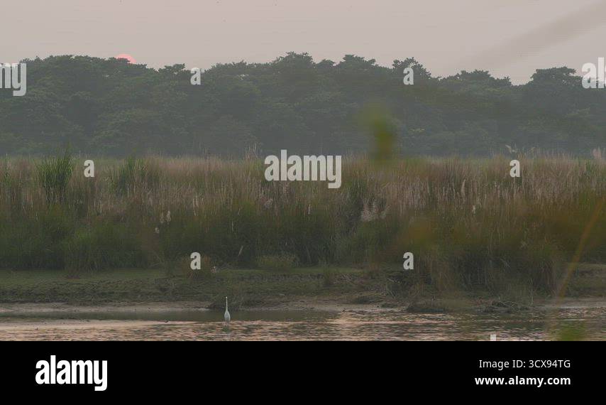 Sunset on tranquil river in summer. Sun reflecting on calm water with ...
