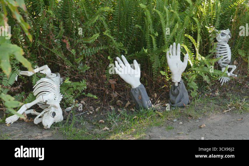 Halloween decor, outdoor garden in Los Angeles, California USA. Scary ...