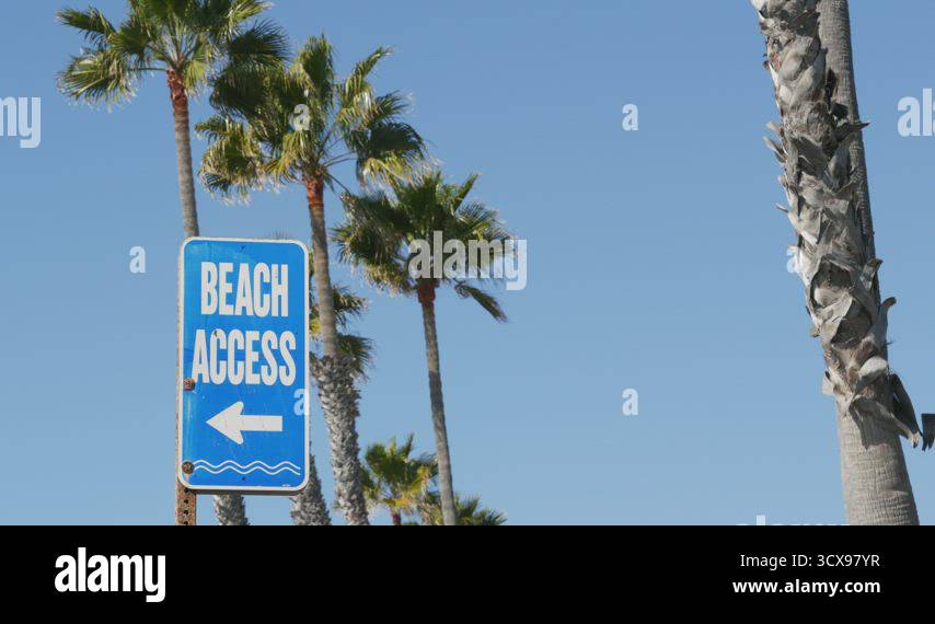 Beach sign and palms in sunny California, USA. Palm trees and seaside ...
