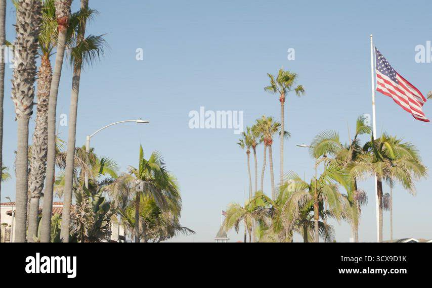 Palms and american flag, Los Angeles, California USA. Summertime ...