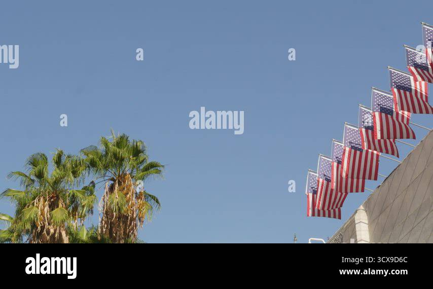 American flags, Los Angeles City Hall, California USA. Palms and Star ...