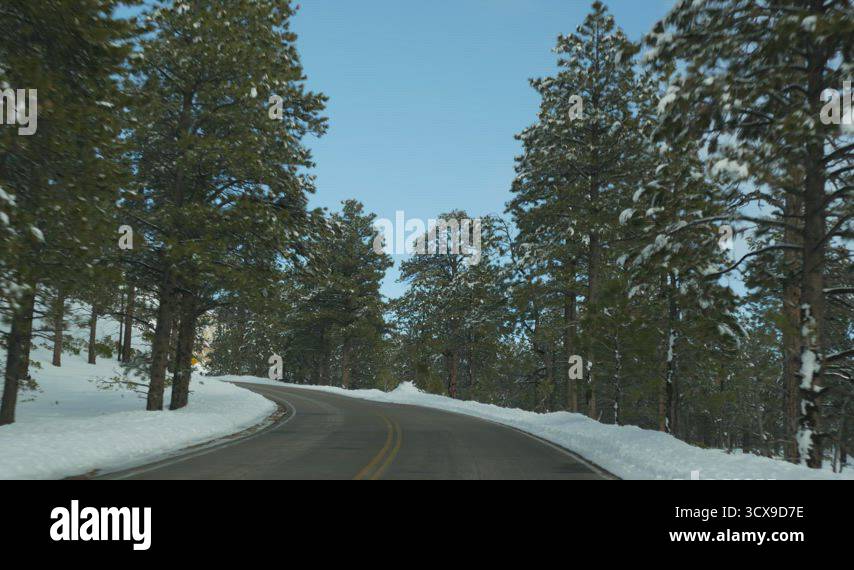 Snow in wintry forest, driving auto, road trip in winter Utah USA ...