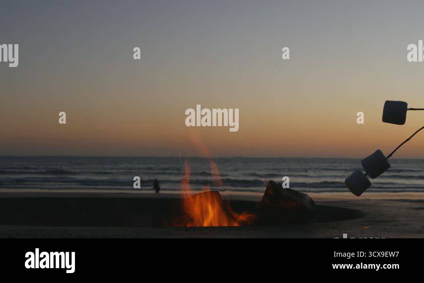 Campfire pit in California USA. Camp fire on ocean sea beach, roasting ...