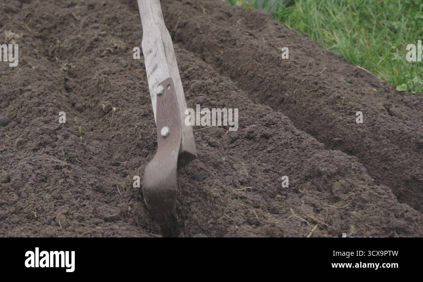 Furrow cutter Stock Videos & Footage - HD and 4K Video Clips - Alamy