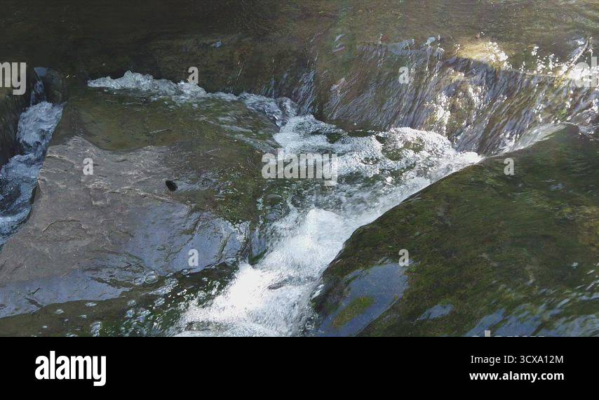 Water creek through rocks Stock Videos & Footage - HD and 4K Video ...