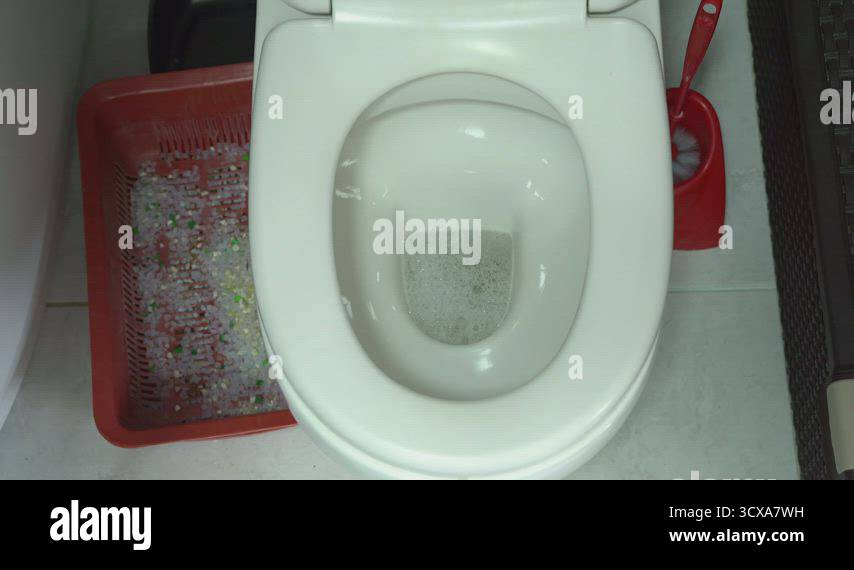 Flushing water in human toilet Stock Videos & Footage - HD and 4K Video ...