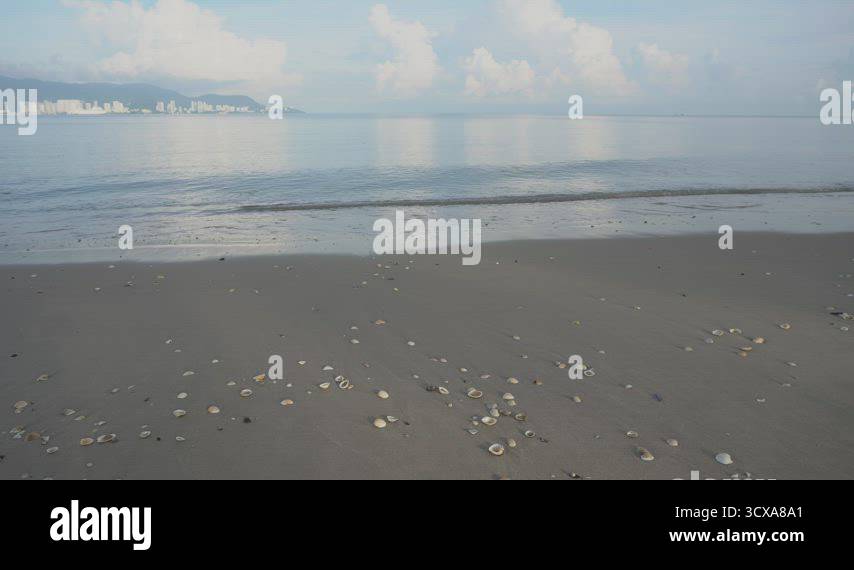 Sea water splash the beach with seashell Stock Video Footage - Alamy