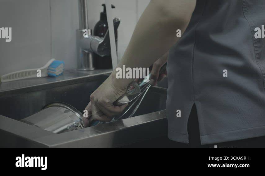 Chef washing dishes Stock Videos & Footage - HD and 4K Video Clips - Alamy