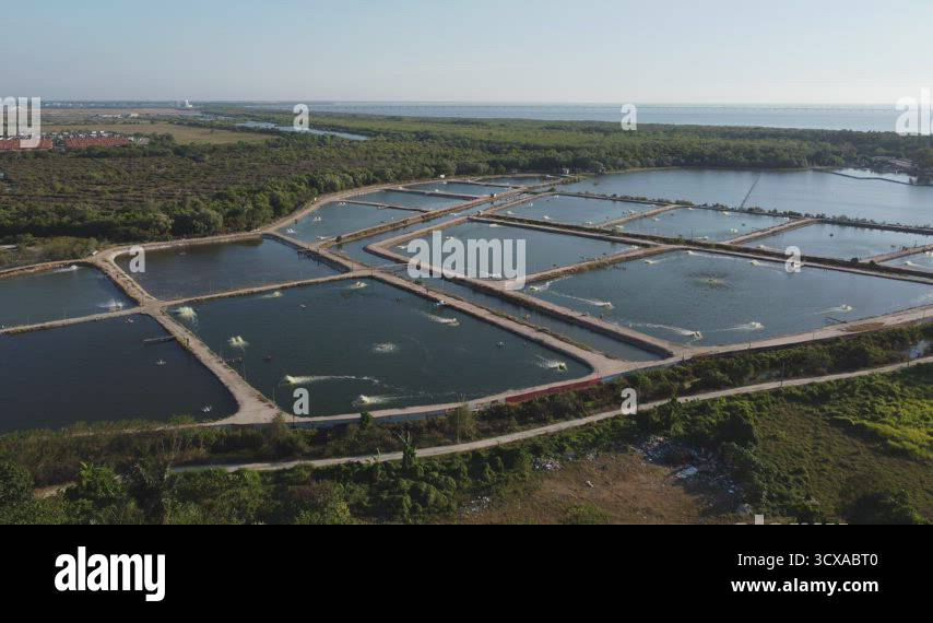 Drone view aquaculture fish farm Stock Videos & Footage - HD and 4K ...
