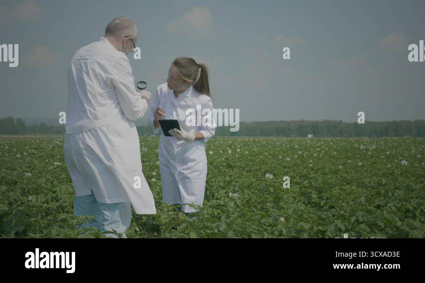 Scientists work in agricultural field Stock Video Footage - Alamy