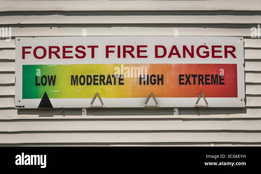 Forest warning sign Stock Videos & Footage - HD and 4K Video Clips - Alamy