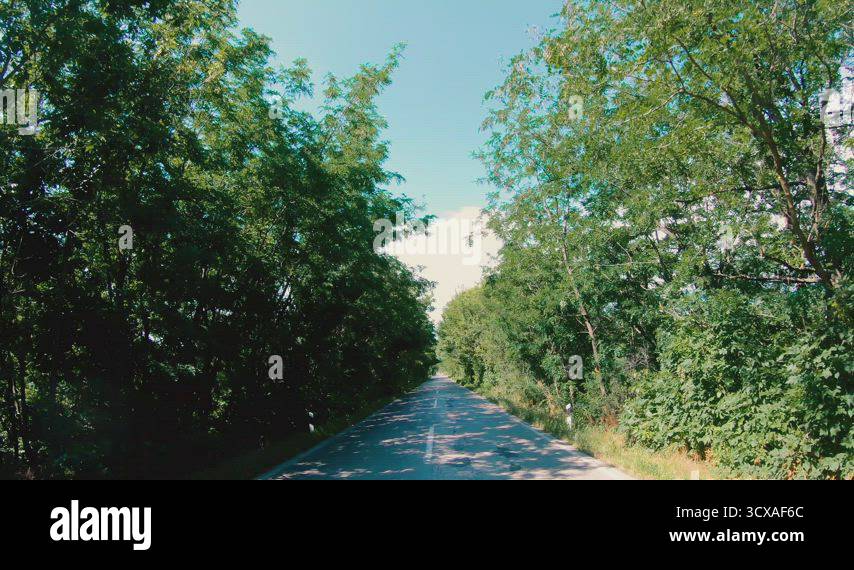 Arched lane Stock Videos & Footage - HD and 4K Video Clips - Alamy