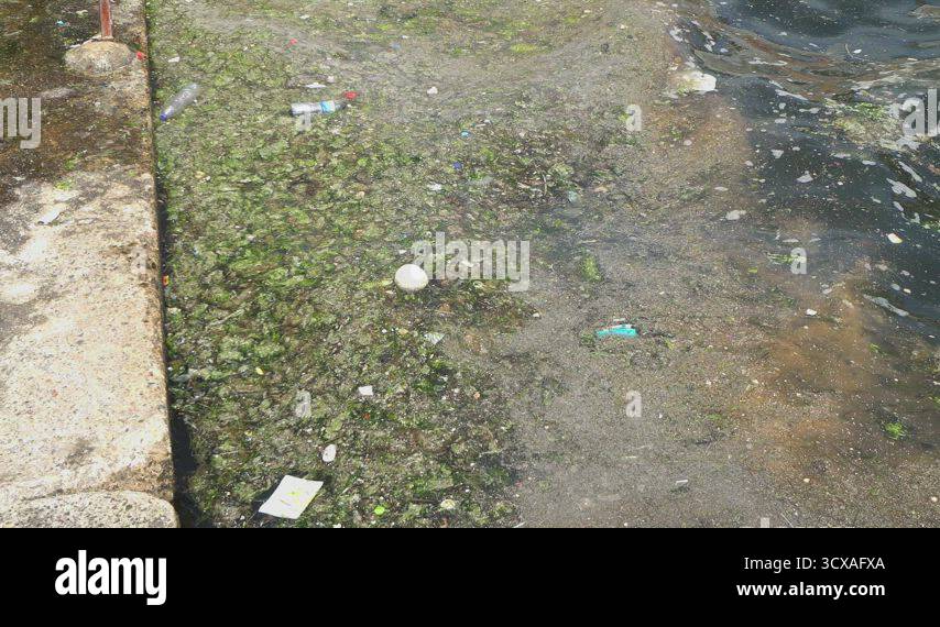 Water pollution plastic in Stock Videos & Footage - HD and 4K Video ...