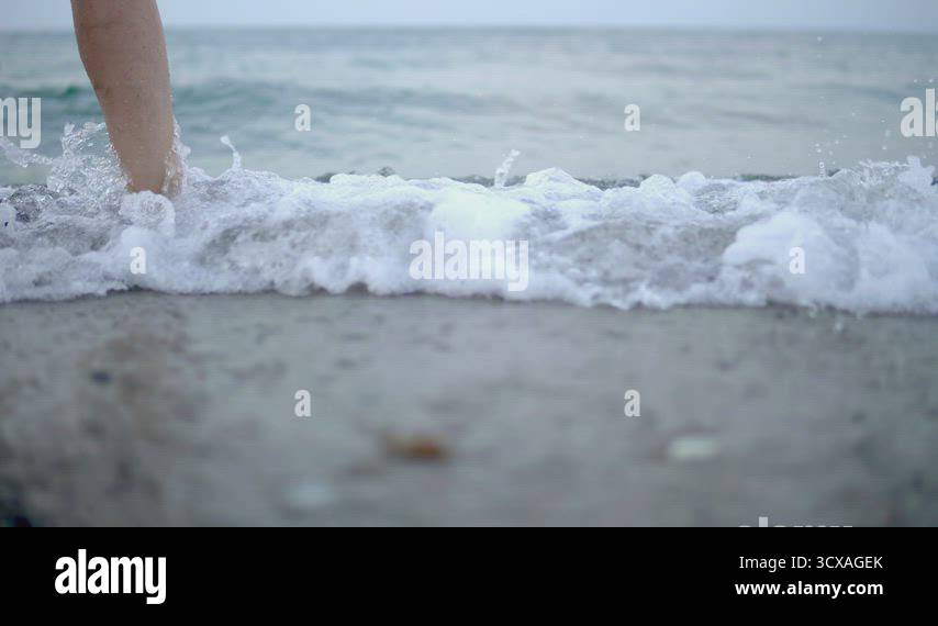 Stand on two feet Stock Videos & Footage - HD and 4K Video Clips - Alamy