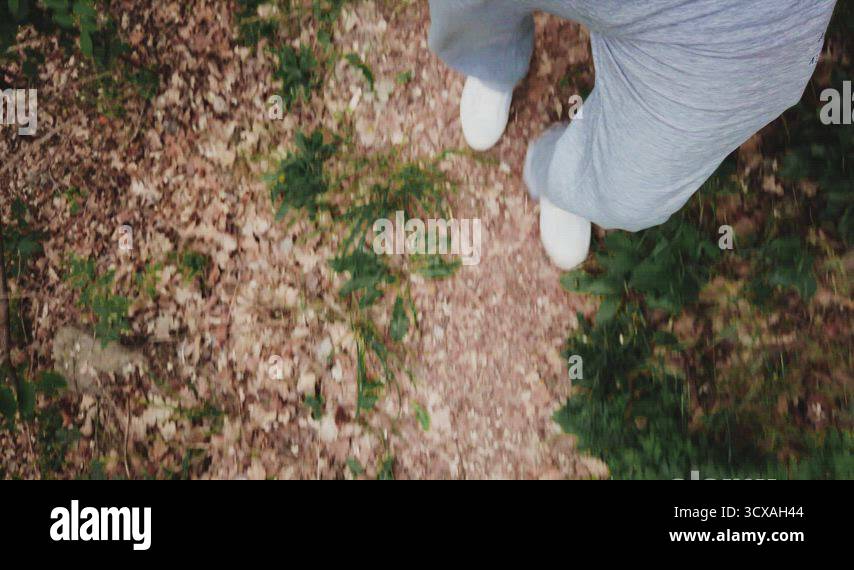 Walking man in forest snickers Stock Videos & Footage - HD and 4K Video ...