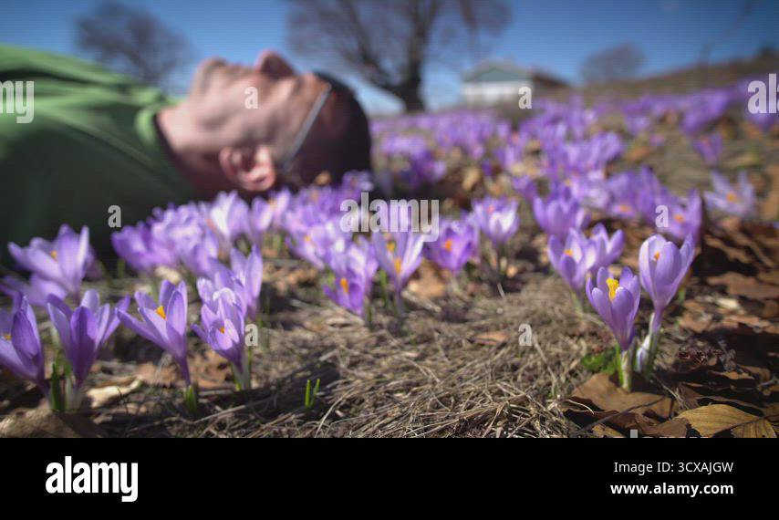 Man in spring meadow Stock Videos & Footage - HD and 4K Video Clips - Alamy