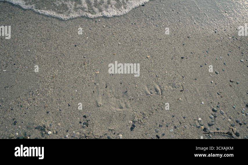 Message written writing in sand beach Stock Videos & Footage - HD and ...