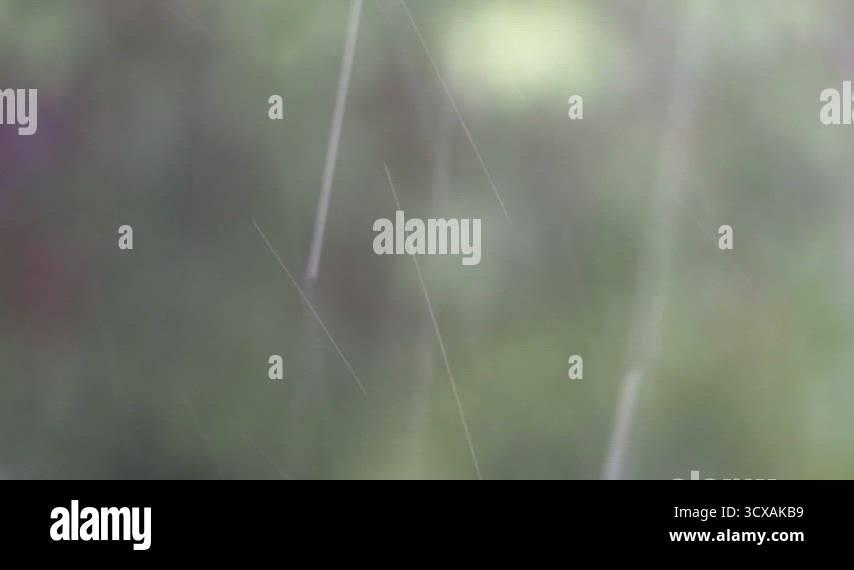 Rain drops falling down on natural green background with selective ...