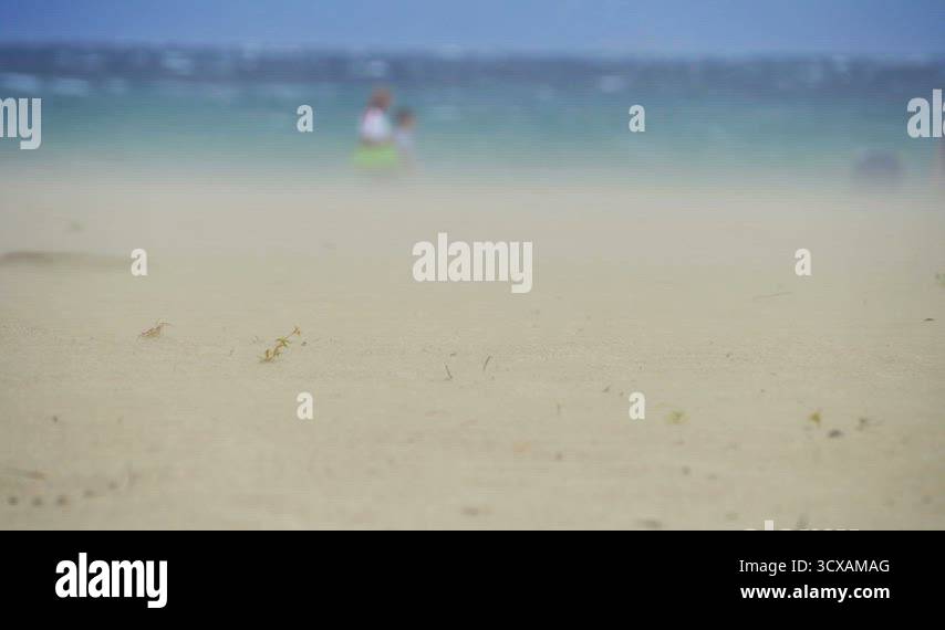 Sand drift Stock Videos & Footage - HD and 4K Video Clips - Alamy