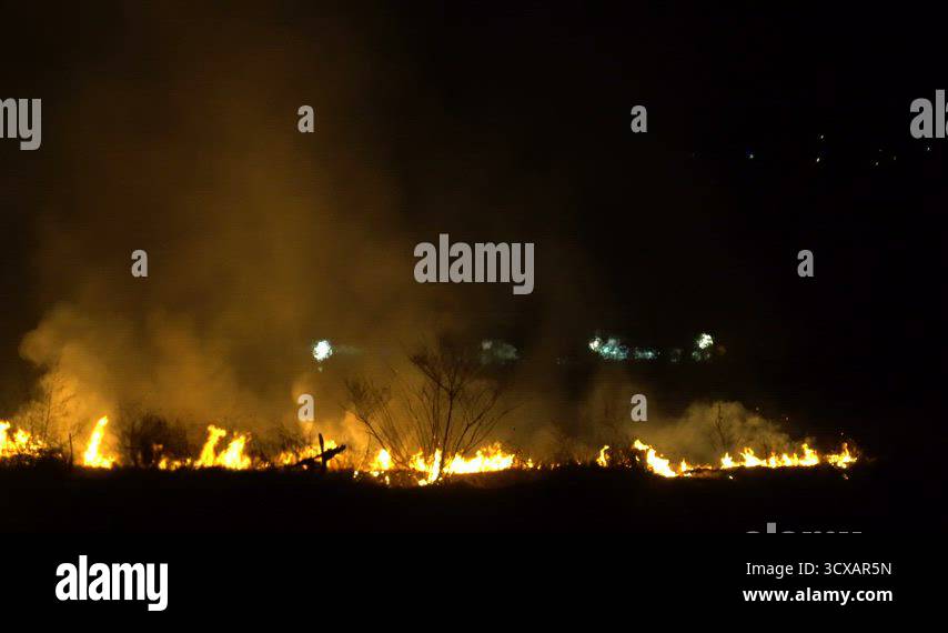 Wildfire line on hill night Stock Videos & Footage - HD and 4K Video ...